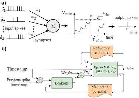 Leaky Integrate And Fire LIF Neuron Model A Behavior Of The