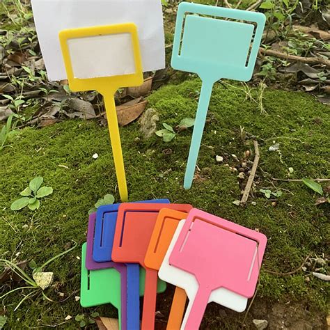 10 Uds Tipo De Inserción Etiquetas De Jardinería P Grandado