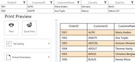 Printing In Wpf Datagrid Control Syncfusion® Printing In Wpf Datagrid Control Syncfusion®