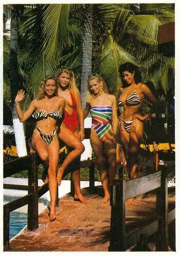 Roberta Vasquez Image Picture Online Idposter Com