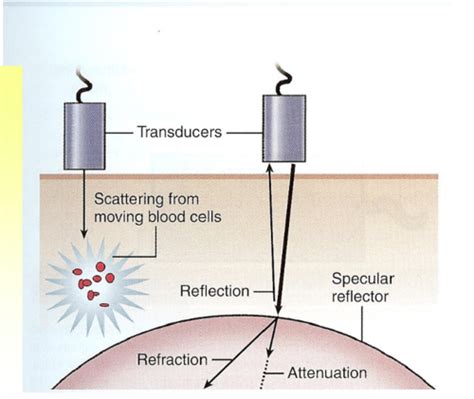 Physics Ch 2 Part 2 Flashcards Quizlet
