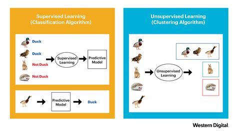 Description DS ML Course