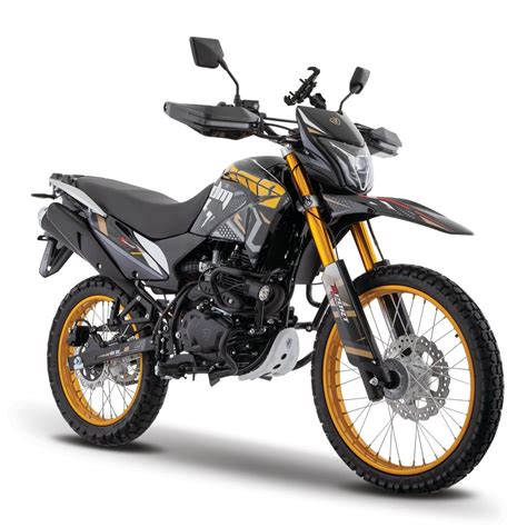 Motocicleta Italika Dm300 Dorado Walmart En Línea