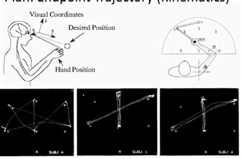 PSC3008 Lecture 17 Flashcards Quizlet