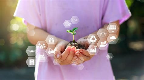 Esg 아이콘 개념은 녹색 자연 배경에서 지속 가능하고 윤리적인 비즈니스에서 환경 사회 및 거버넌스를 위해 아이들의 새싹 공장에서 사용됩니다 은행업무에 대한 스톡 사진 및