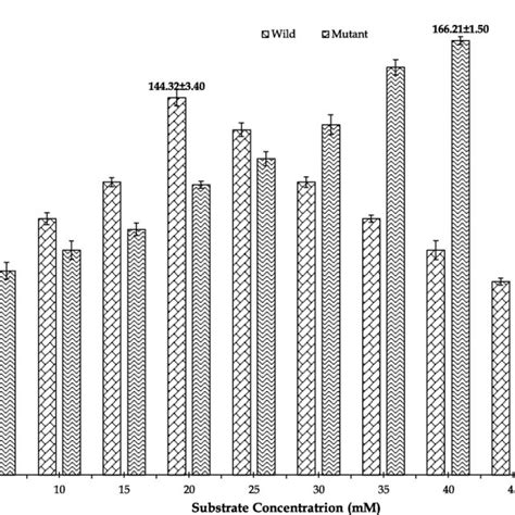 Effect Of Different Substrate Concentrations On The Xylanase Activity Download Scientific