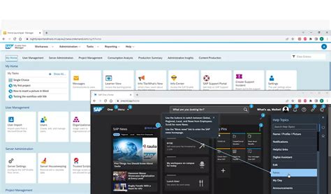 sap enable now
