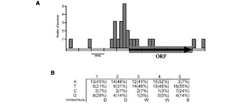 Analysis Of Tca Insertions A Schematic Diagram Of The Insertion Download Scientific Diagram