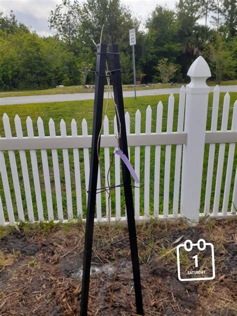 Root Rocket Fertilizer Packs For Sale Root Rocket Fertilizer Packs For Sale