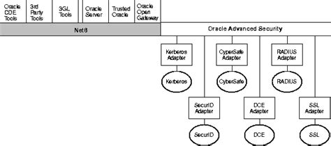 Introduction To Oracle Advanced Security