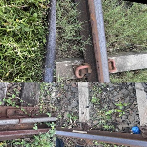 Pnr Revised Split 3 Object Detection Dataset By Trial Run