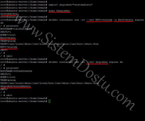 Docker Environment Kullanımı Sistem Ve Network Dünyasına Hoşgeldiniz