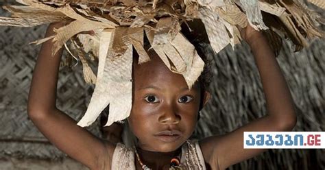 კუნძული სადაც სექსი ბავშვებს 6 წლის ასაკიდან აქვთ ტრობრიანდელების გამაოგნებელი ტრადიციები