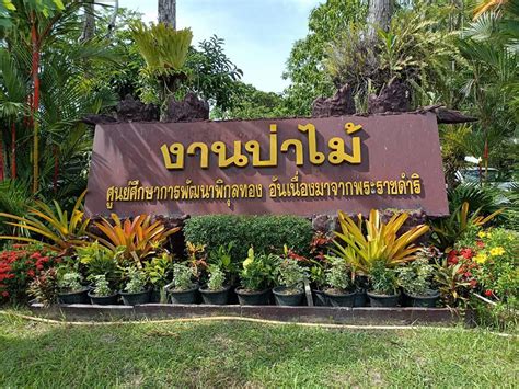 🌳 ศูนย์ศึกษาการพัฒนาพิกุลทอง อันเนื่องมาจากพระราชดำริ Facebook