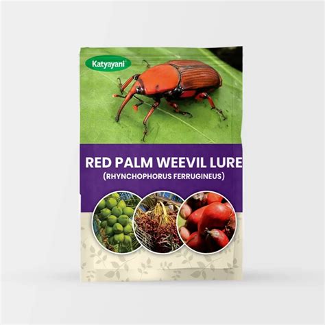 Red Palm Weevil Lure Rhynchophorus Ferrugineus Katyayani Organics