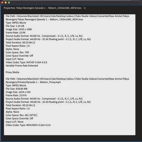 Project Exporting With Weird Random Pixels Glitch Adobe Product Community 12875653