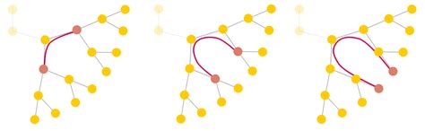 Embedding Hierarchical Data In Hyperbolic Geometry Sgi 2021