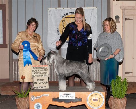 Crivitz Standard Schnauzers Amy Shaffer Home Facebook