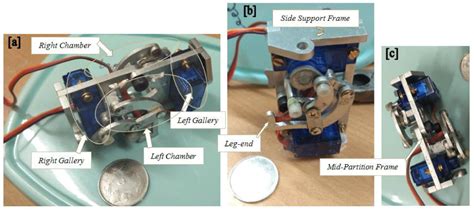 Design Ideation For Autonomous Reproductive Worm Robot Inheritance From Biological Worm Celegans