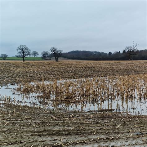Soil Testing Vital Following Flooding Agribusiness Communications Agricultural Public Relations Soil Testing Vital Following Flooding Agribusiness Communications Agricultural Public Relations