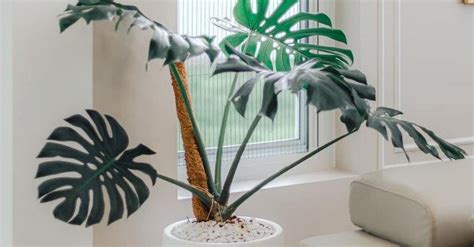 รวมรูปภาพของ ไอเดีย บ้านสไตล์มินิมอล นอร์ดิก ออกแบบโดดเด่น เน้นความเรียบง่าย แต่สวยสะดุดตา รูป