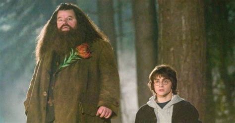 El Actor Que Hará De Hagrid En La Serie De ‘harry Potter Promete Algo Diferente “puedo