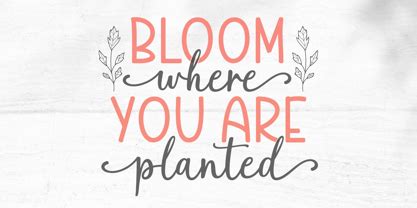 Farmhouse Handwritten Script Font Webfont Desktop MyFonts