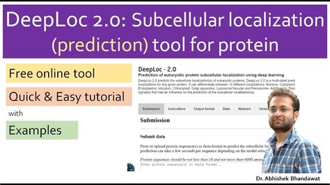How To Predict Subcellular Location Of Protein Deeploc Tool Youtube