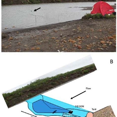 A Image Of Didson Setup Showing Submerged Camera Arrow Fencing And