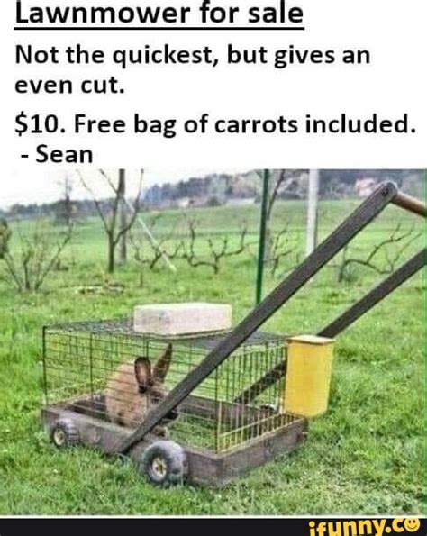Help Grandma Are You Okay No Bred Buy Me Bread Walmar Ifunny