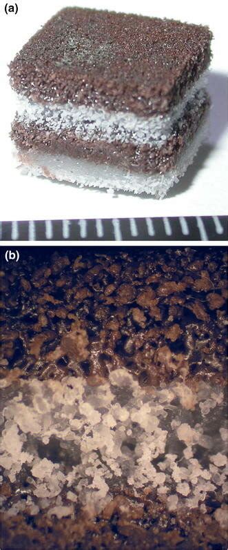 Overall View A Of The Sintered 3d Functionally Graded Structures 10 Download Scientific