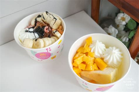 요거트 아이스크림의 정석 요아정 꿀조합 메뉴 토핑 가득 추가하기 네이버 블로그