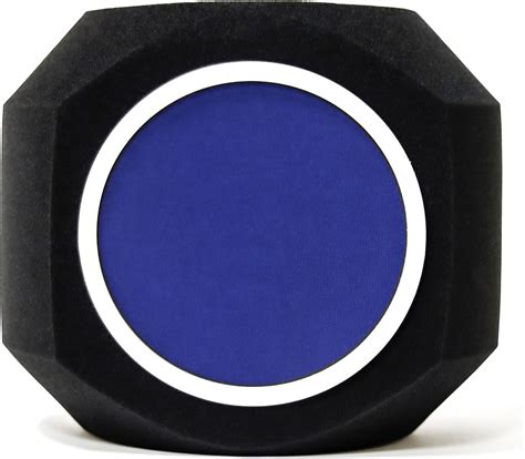 Trademark Innovations Microphone Shield Microphone Filter Isolation Shield For