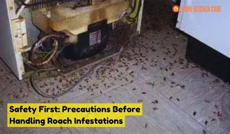 How To Get Roaches Out Of Refrigerator Motor Effective Solutions