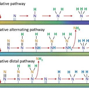 Proposed mechanisms of the NRR Reproduced with permission ⁵⁶ Download Scientific Diagram