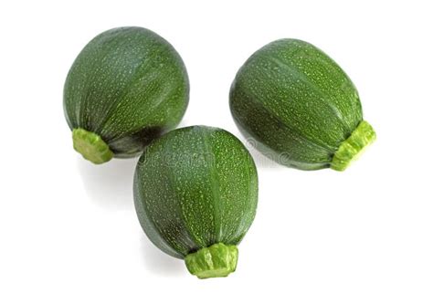 Corgette Imagen De Archivo Imagen De Corte Calabaza 170482141