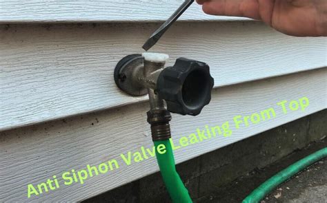 How To Fix Leaking Sprinkler Anti Siphon Valve At Lauren Harris Blog