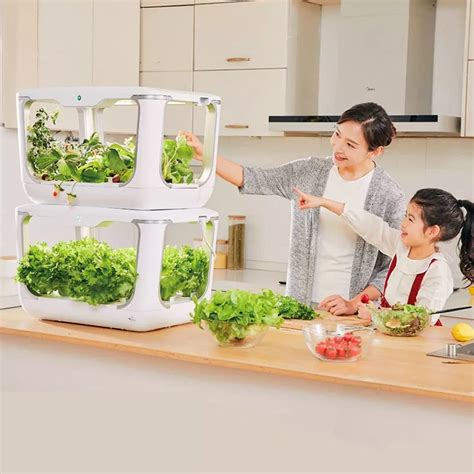 Xiaomi and the Tiny Green brand launch a mini "garden" for home growing ...