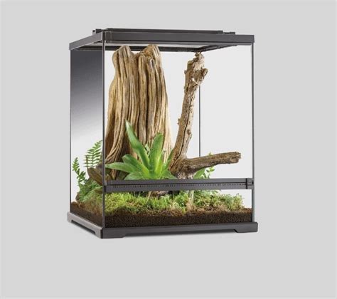Exo Terra Tree Frog Terrarium Pet Supplies Homes Other Pet Accessories On Carousell