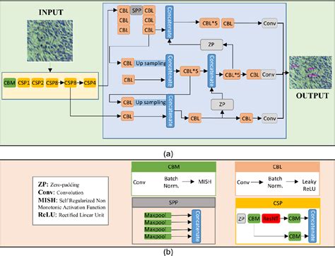 Figure 1 From A Novel Deep Learning Based Mitosis Recognition Approach And Dataset For Uterine