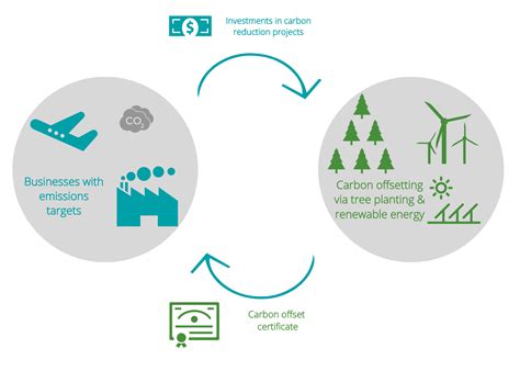 What Is A Carbon Offset Project At Dean Metoyer Blog