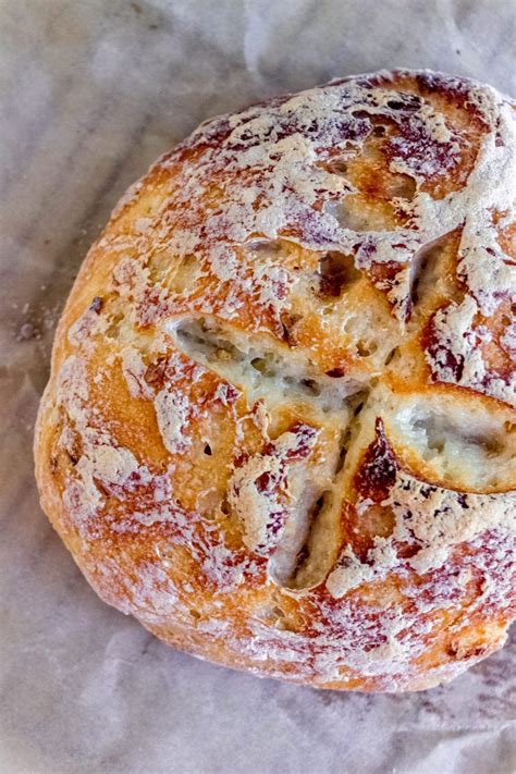Best 12 No Knead Whole Wheat Bread Made In The Instant Pot Artofit