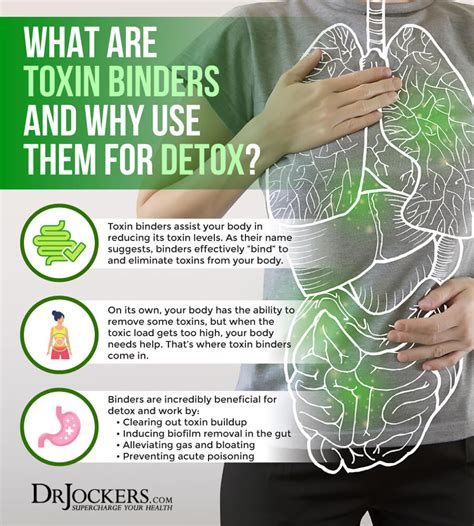 How To Use Toxin Binders To Cleanse The Body