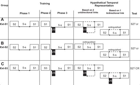 The Experimental Design Hypothetical Temporal Representations And Download Scientific Diagram