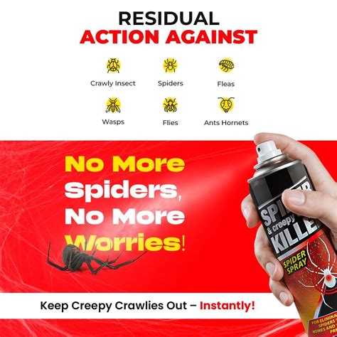 Spider And Creepy Crawly Killer Spray 200ml Effective Pest Control