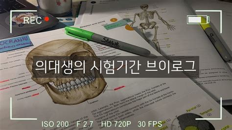 의대생 브이로그 첫 시험기간 Youtube