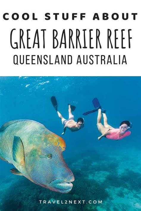 30 Amazing Great Barrier Reef Facts Artofit