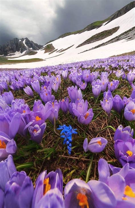 อรุณสวัส รูปภาพวิวธรรมชาติสวยๆ ดอกไม้ ทะเล สุดสวย น่าร้กๆ