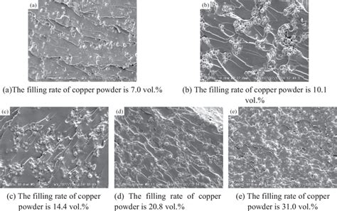 Sem Morphology Of 5 μm Spherical Copper Powder Composite Sections At Download Scientific