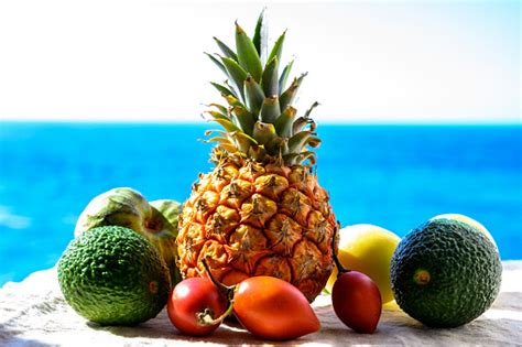 푸른 바다 배경에 열대 과일 컬렉션 커스터드 사과 또는 녹색 잘 익은 체리 모이아 열정 과일 파인애플 망고 타마릴로 아보카도 이국적인 과일 0명에 대한 스톡 사진 및 기타